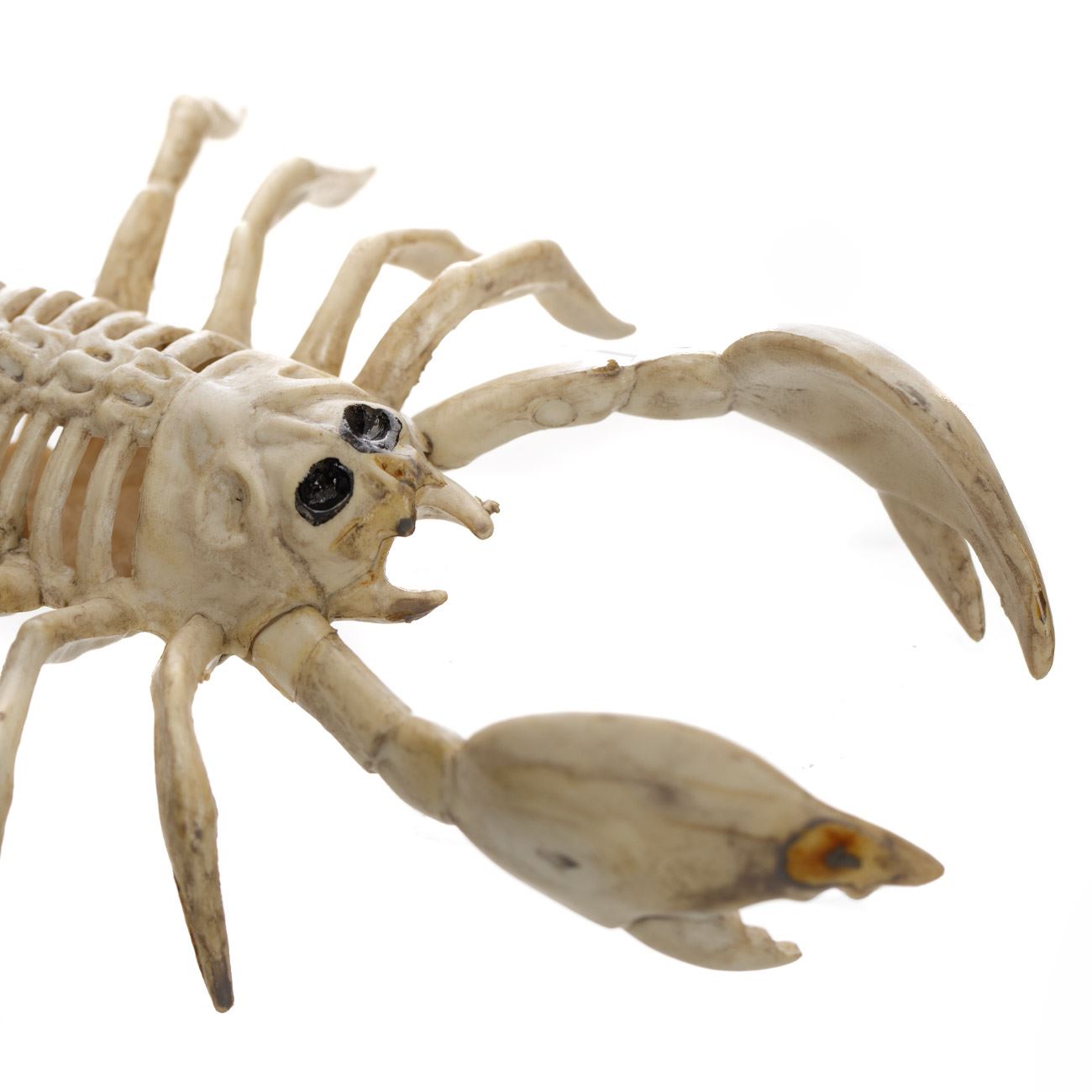 Scorpion Schelet Halloween, 20cm, Alb, din Plastic - eMAG.ro