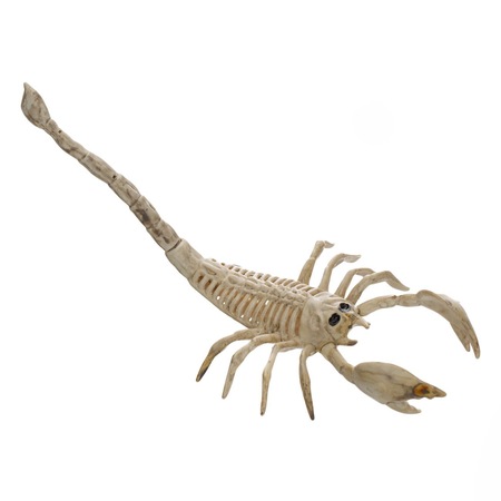 Scorpion Schelet Halloween, 20cm, Alb, din Plastic - eMAG.ro