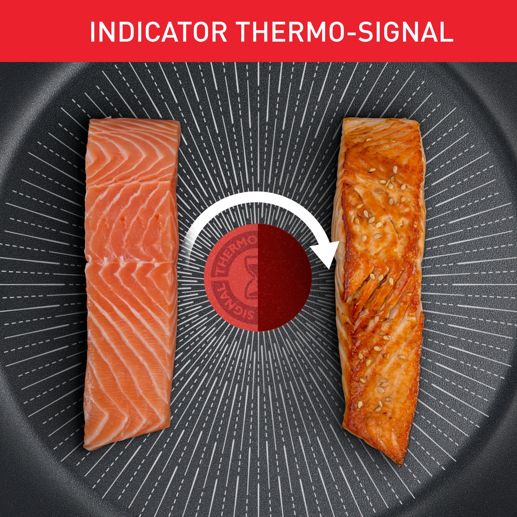 Set 5 piese Tefal Ingenio Eco Resist, cratita 16 cm, oala 20 cm, tigaie 24 / 28 cm, maner ...