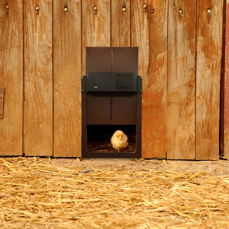 Usa automata pentru cotete de pasari cu senzor de lumina, Rosu - eMAG.ro