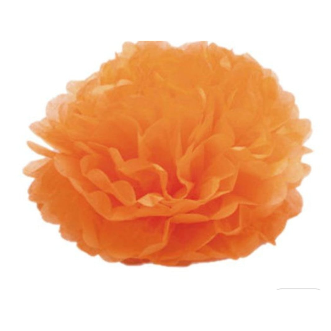 Pampon hartie 20 cm set 10 buc Portocaliu deschis - eMAG.ro