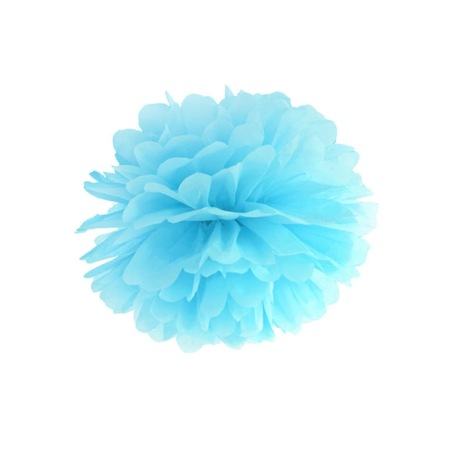 Pampon hartie 20 cm set 10 buc bleu - eMAG.ro