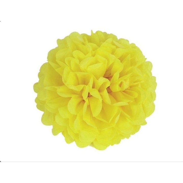 Pampon hartie 20 cm set 10 buc Galben - eMAG.ro