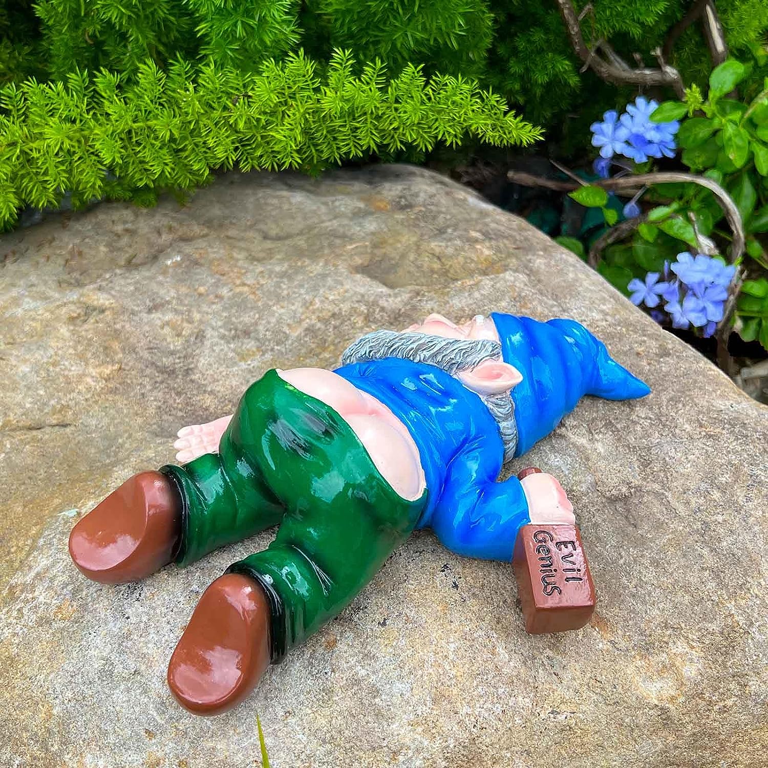 Pitic gradina, Rasina, Multicolor - eMAG.ro