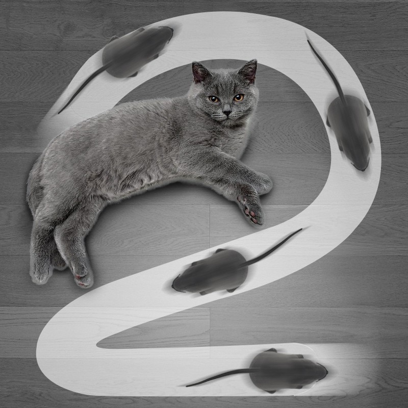 Soarece de jucarie cu telecomanda, Sunmostar, Plus/ABS, Gri - eMAG.ro