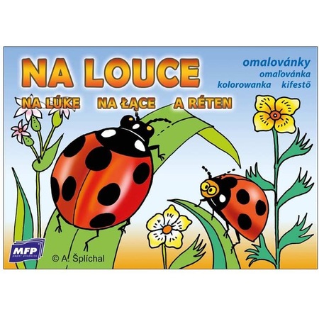 Carte de colorat MFP Paper, Multicolor - eMAG.ro