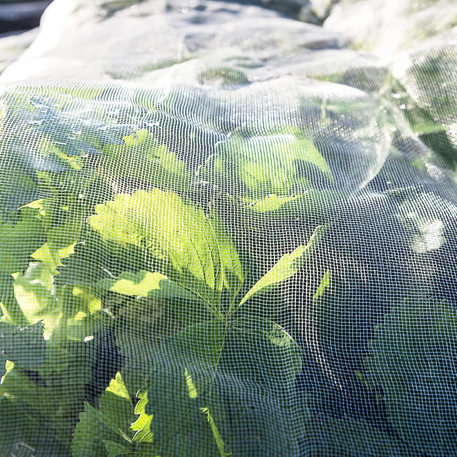 Plasa anti-insecte de gradina, Mmgoqqt, 2.5 x 4 m, Alb - eMAG.ro