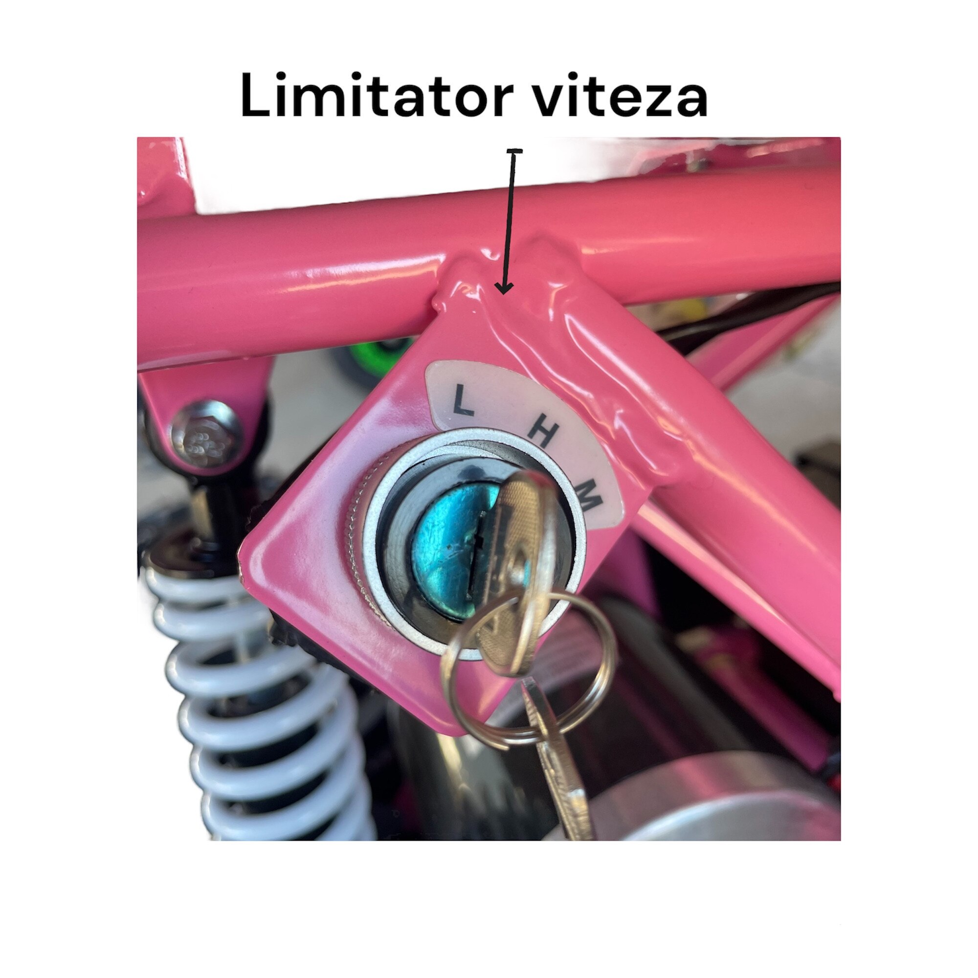 ATV electric, motor 1000W, baterie 48V/12Ah/Lead Acid, 3 viteze, roti 6 ...