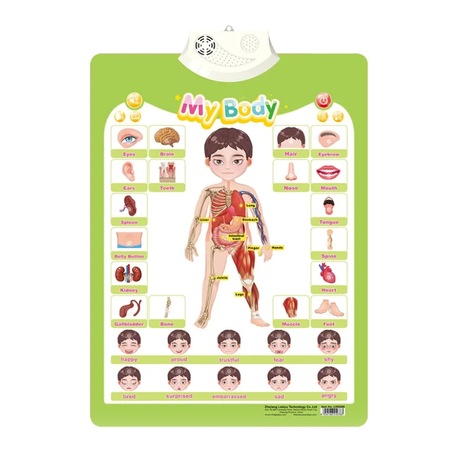 Postere Interactive in Limba Engleza, 41 x 55.5 cm, Corpul meu - eMAG.ro