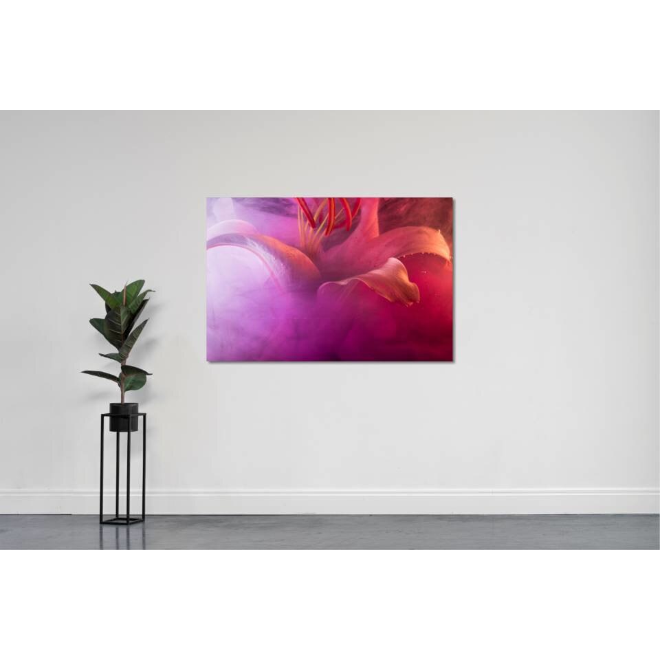 Sticker - Crin Colorat, 70x105 cm - eMAG.ro