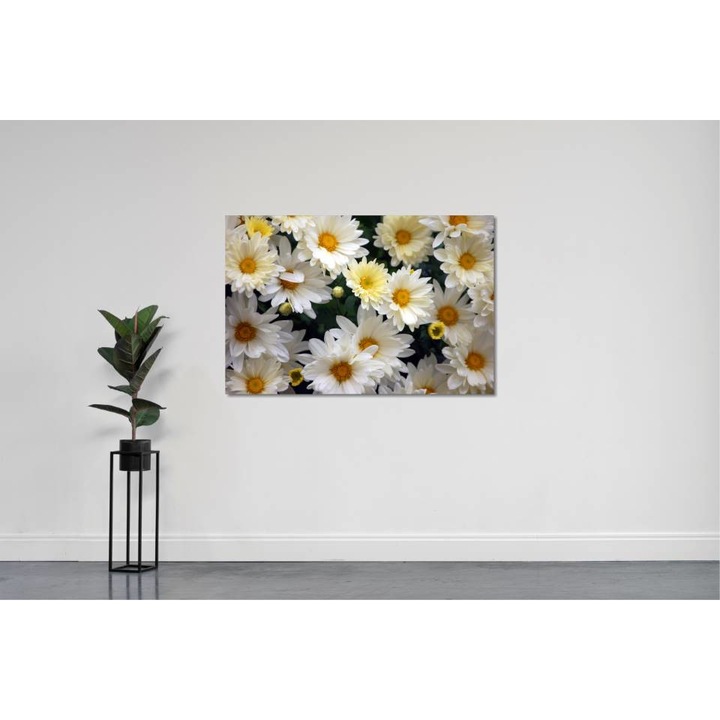 Sticker - O Gramada De Margarete, 130x90 cm - eMAG.ro