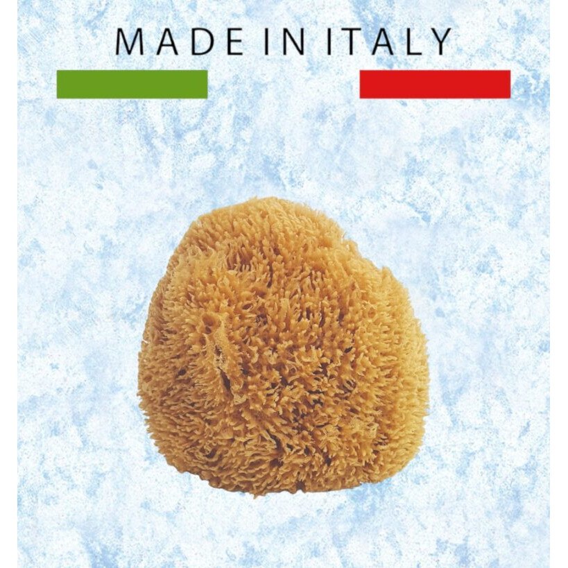 Burete Natural, din Marea Caraibelor, SEA MATRIX, pentru efecte ...