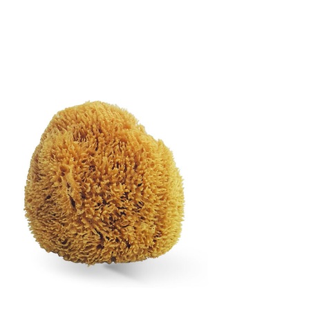 Burete Natural, din Marea Caraibelor, SEA MATRIX, pentru efecte ...