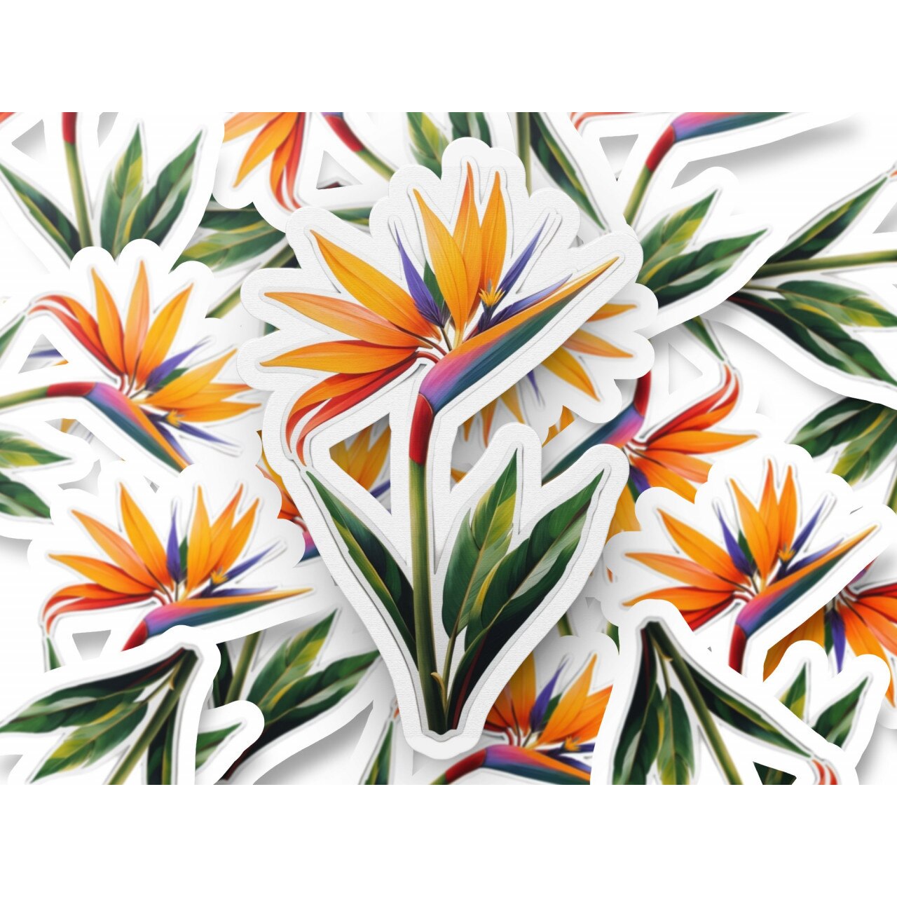 Set 3 bucati, Sticker decorativ, Floare pasarea paradisului cu coada ...