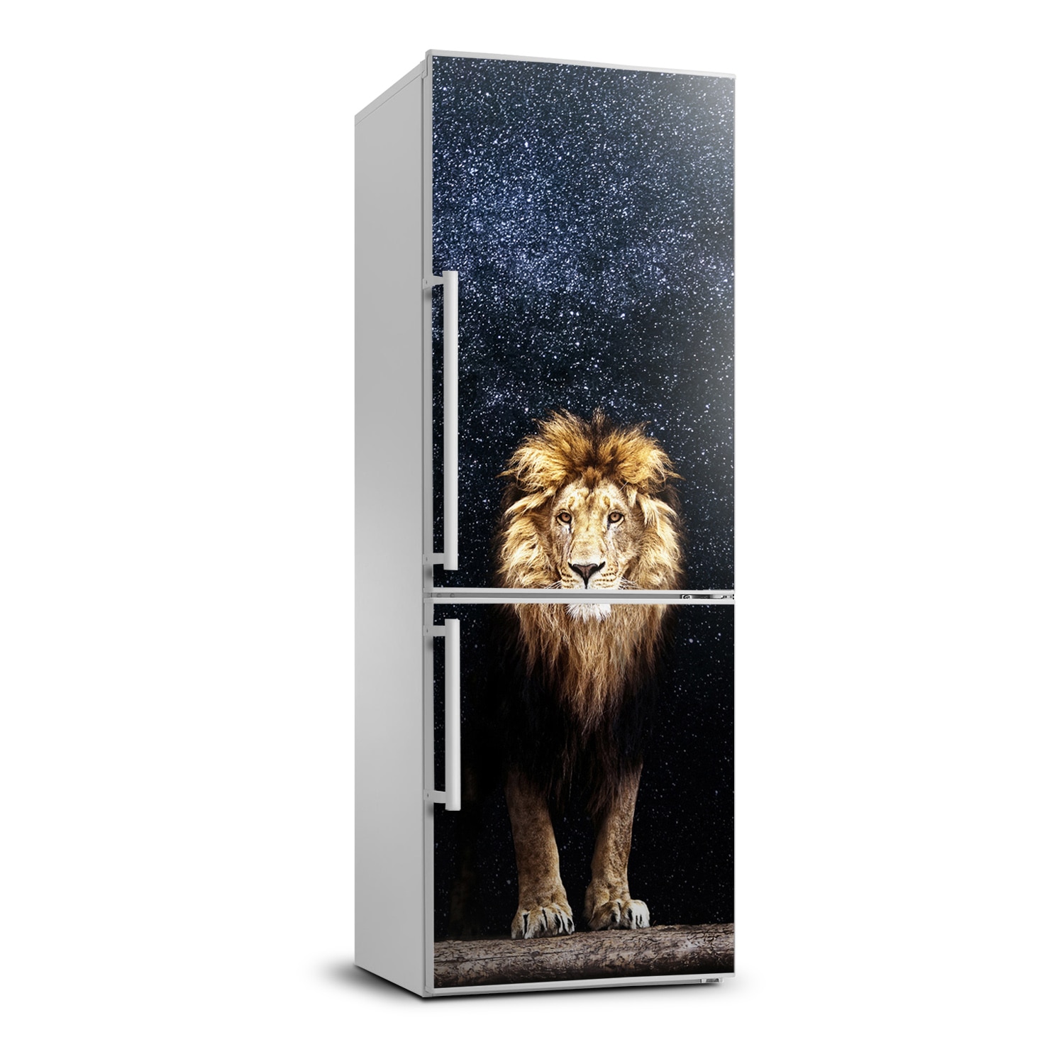 Stickere decorative, Tulup, autocolant pentru frigider, leu pe fundalul ...