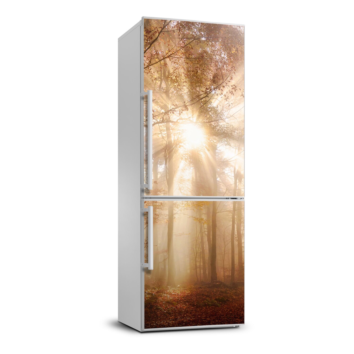 Stickere decorative, Tulup, autocolant pentru frigider, padure toamna ...