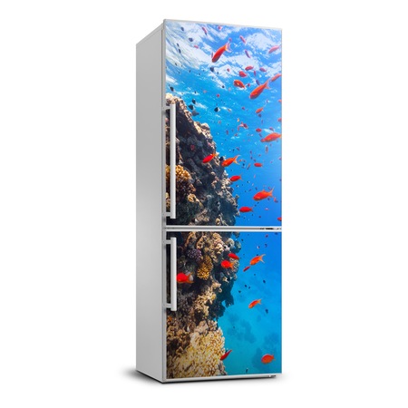 Stickere decorative, Tulup, autocolant pentru frigider, recif de corali ...