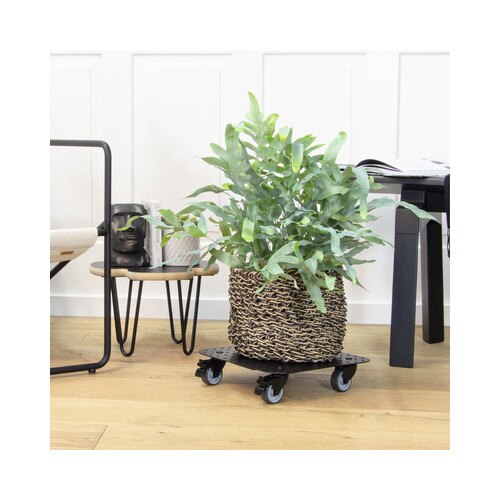 Suport Ghiveci Cu Roti Wagner Otel 29x29 Maro - eMAG.ro