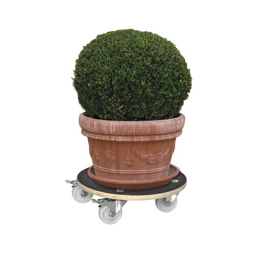 Suport Ghiveci Cu Roti, Mesteacan, Wagner System, Ø 30 Cm, Negru ...