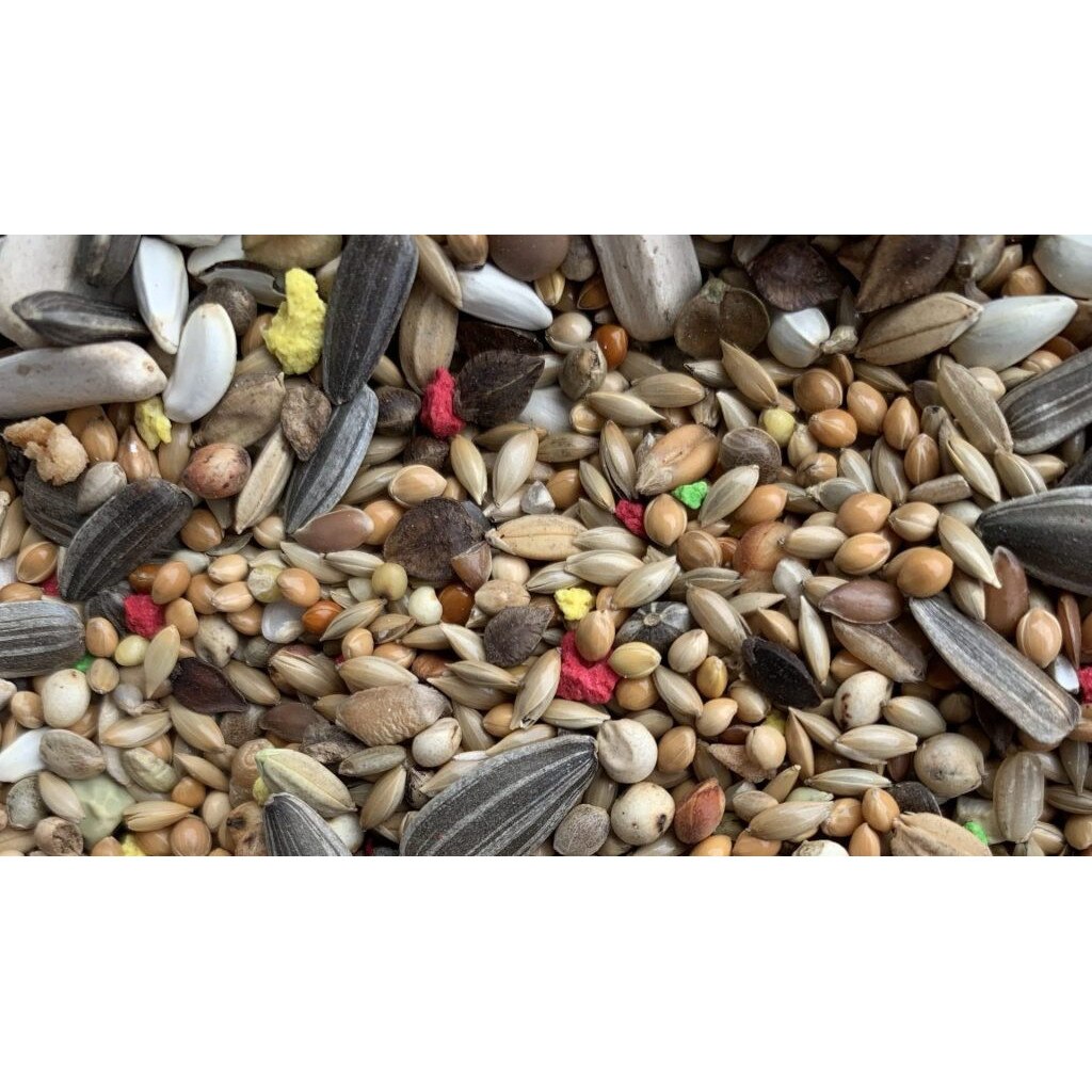 Hrana papagali, Parrocchetti Multicolor,1kg - eMAG.ro