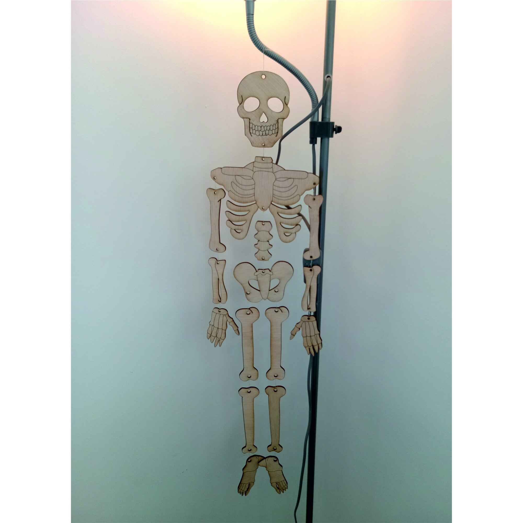 Puzzle Schelet Uman, Halloween, din lemn, 16 piese - eMAG.ro