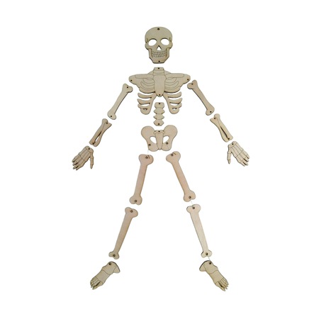 Puzzle Schelet Uman, Halloween, din lemn, 16 piese - eMAG.ro