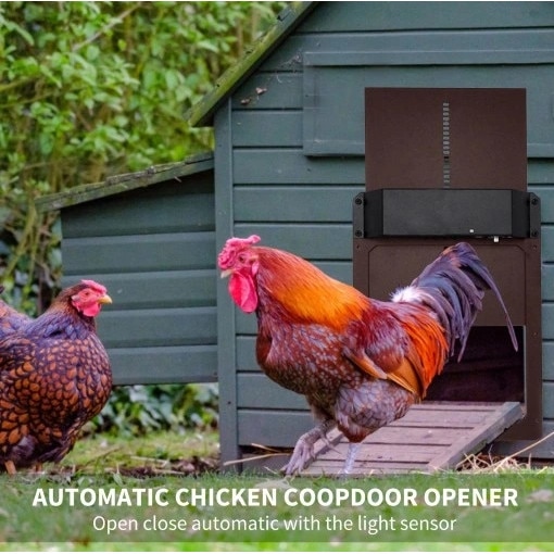 Usa cu senzor pentru cotet, Plastic, Pentru gaini, Maro - eMAG.ro