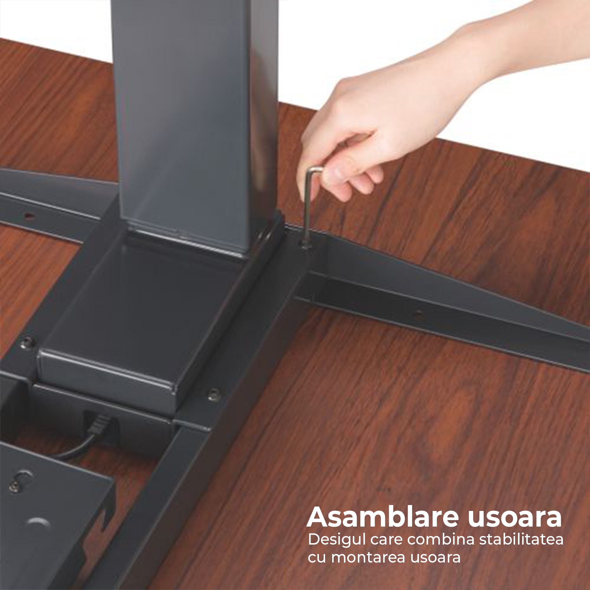 Birou reglabil electric StableDesk Pro, 2 motoare, Ridica 125 kg ...