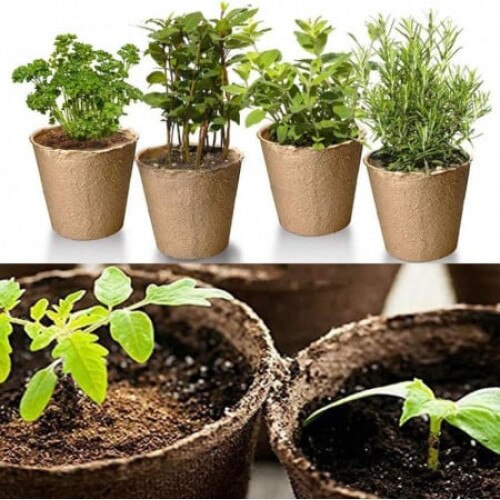 Set 15 ghivece pentru rasaduri, Celuloza, Turba, 8 x 8.5 cm - eMAG.ro