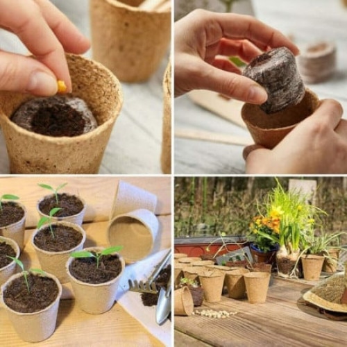 Set 20 ghivece pentru rasaduri, Celuloza, Turba 6 x 6 cm - eMAG.ro