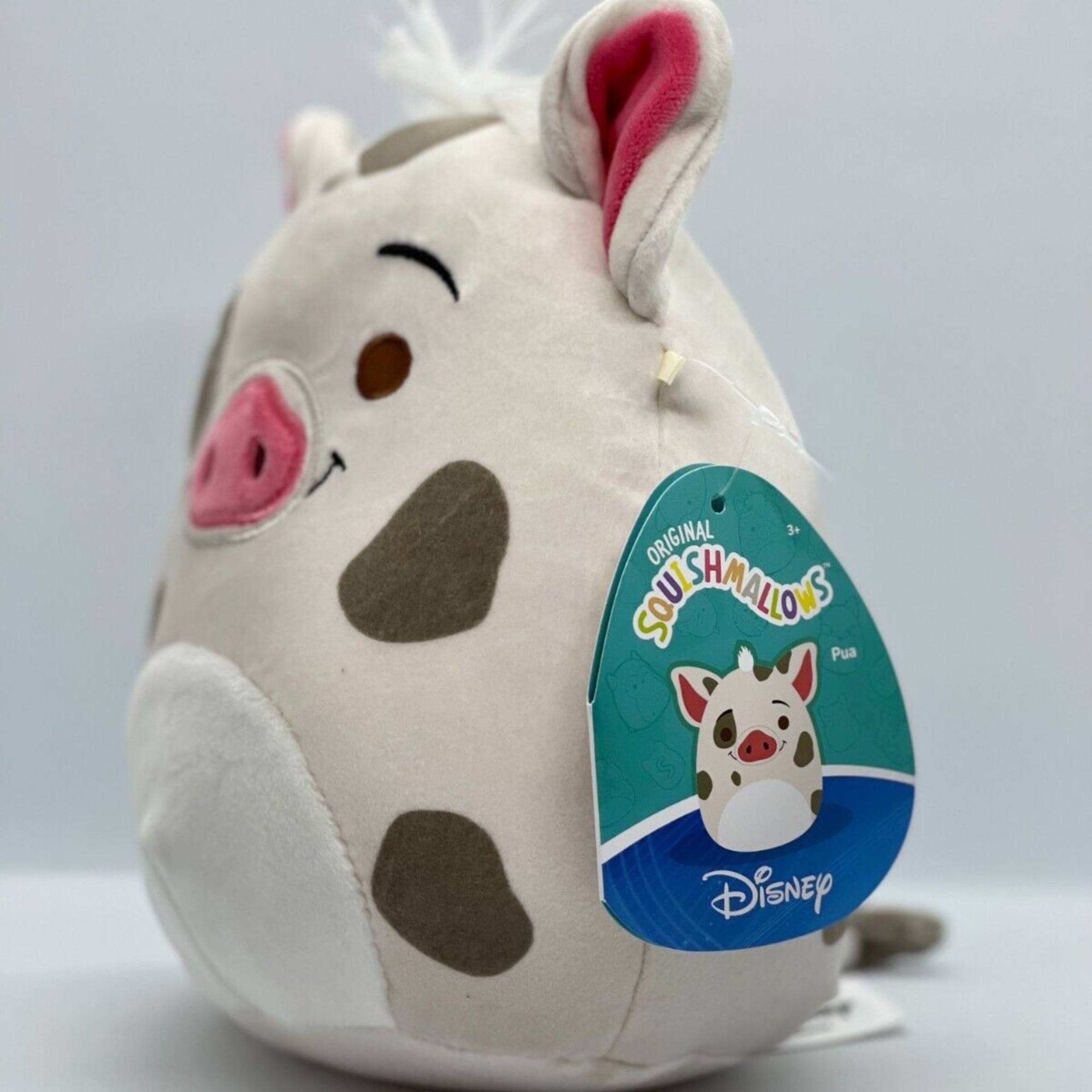 Jucarie de plus Squishmallows, colectia Disney, Moana, Porcusorul Pua ...