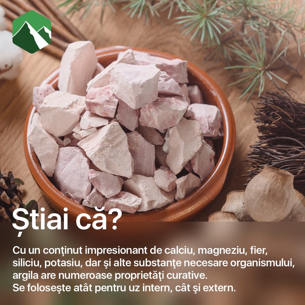 Argila de Bocan Algo bucatele, 100% naturala din podisul Tibetului, 1 ...