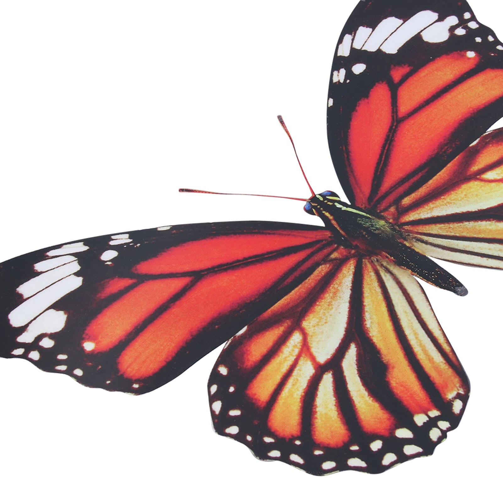 Autocolant perete, PVC, 40x28cm, Multicolor - eMAG.ro