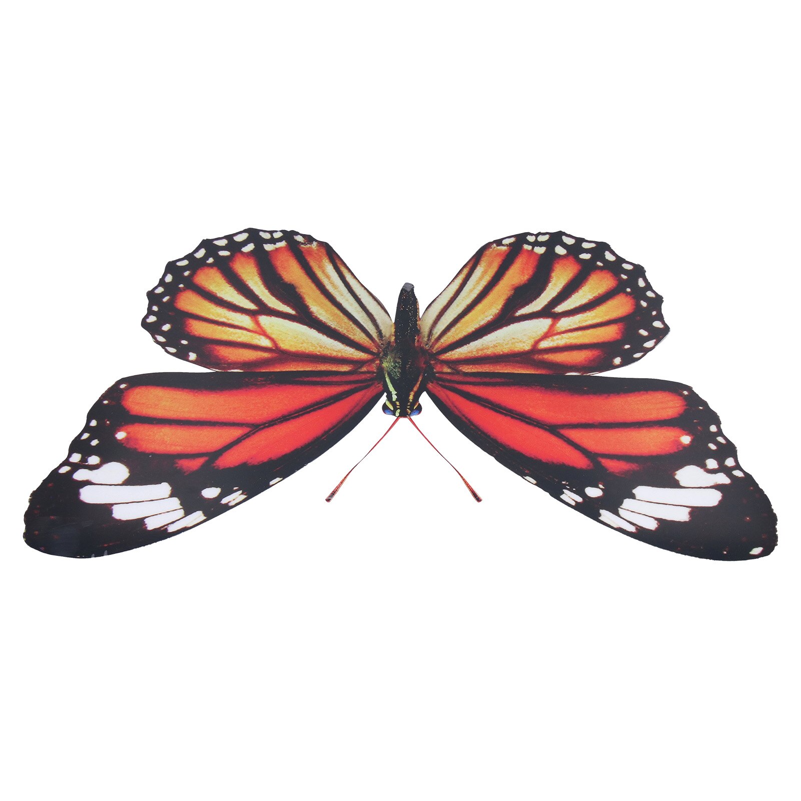 Autocolant perete, PVC, 40x28cm, Multicolor - eMAG.ro