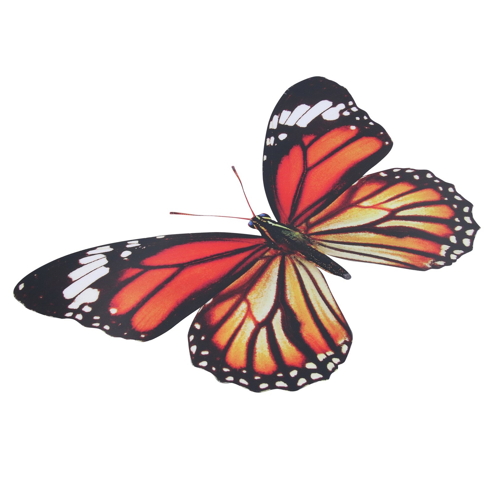 Autocolant perete, PVC, 40x28cm, Multicolor - eMAG.ro