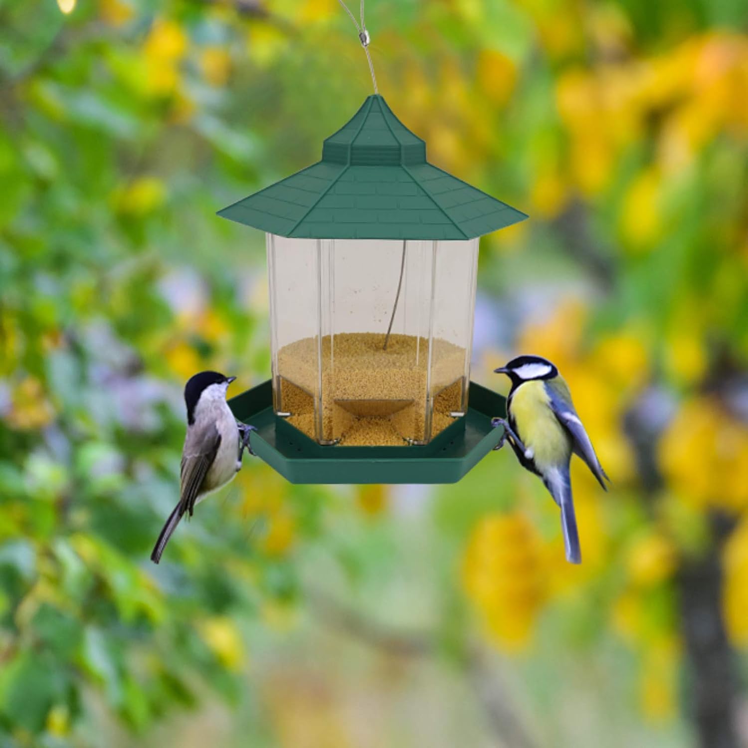 Hranitoare pentru pasari, Iongziming, Model hexagonal, Polipropilena, 1L, Verde/Transparent ...