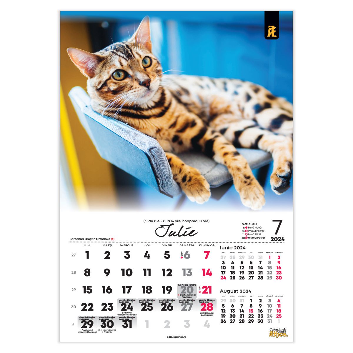 Calendar de perete 2024, Pisici, mari si mici, format B4, 23x33 cm, 13 ...