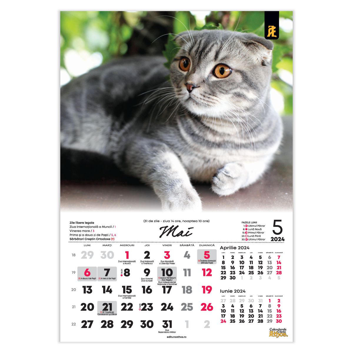 Calendar de perete 2024, Pisici, mari si mici, format B4, 23x33 cm, 13 ...