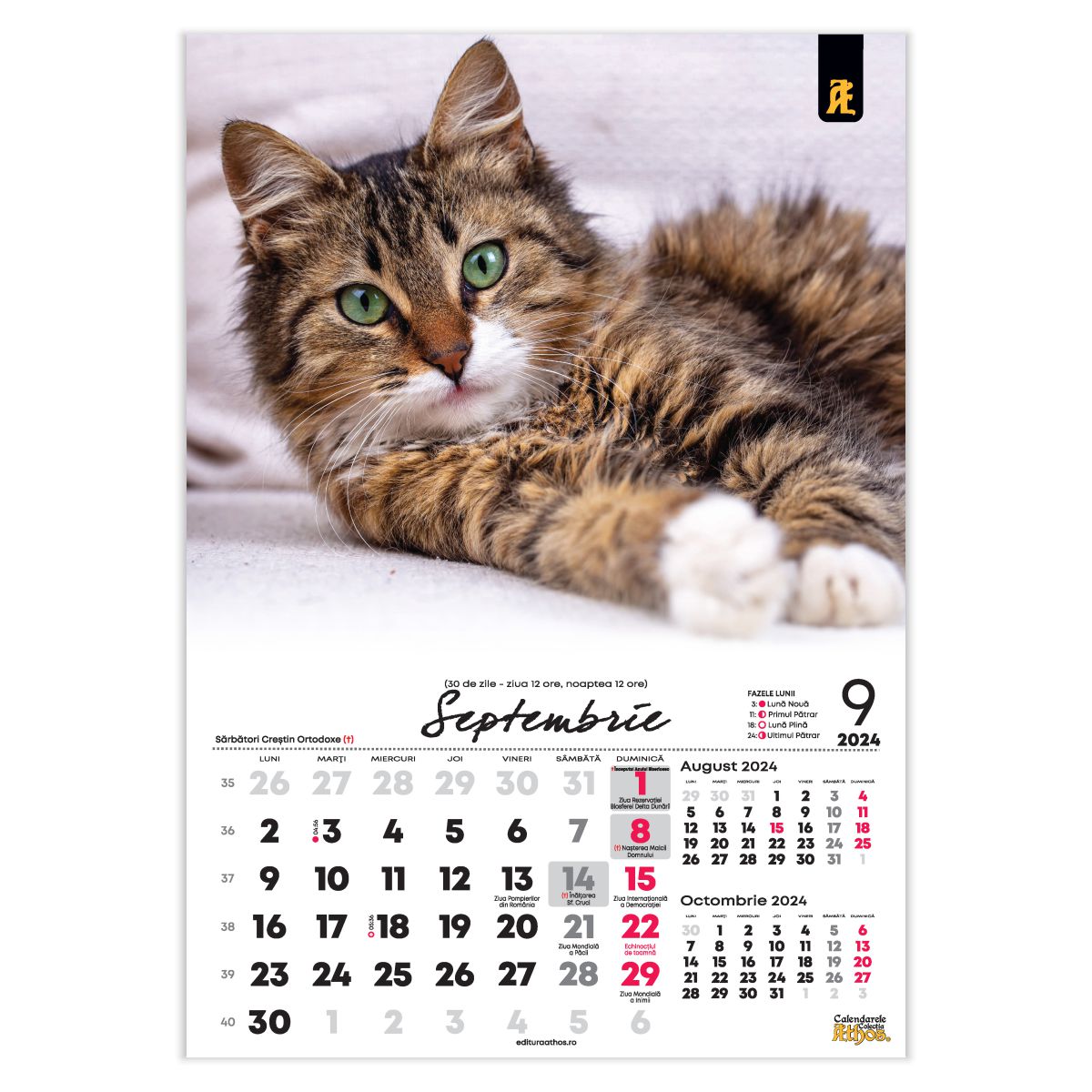 Calendar de perete 2024, Pisici, mari si mici, format B4, 23x33 cm, 13 ...