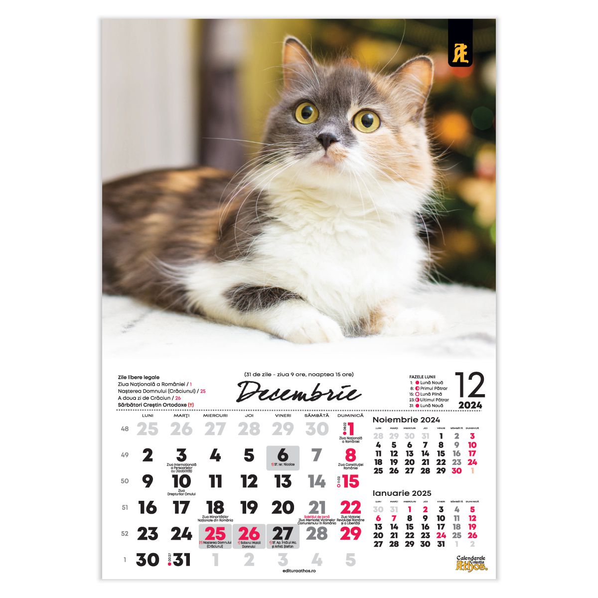 Calendar de perete 2024, Pisici, mari si mici, format B4, 23x33 cm, 13 ...