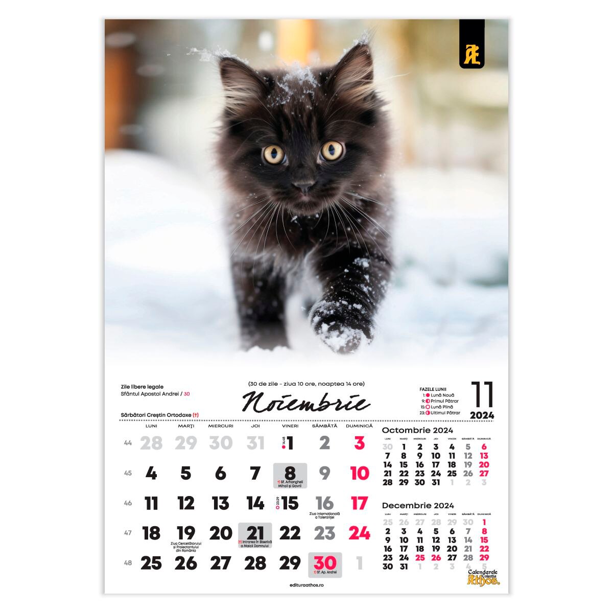 Calendar de perete 2024, Pisici, mari si mici, format B4, 23x33 cm, 13 ...