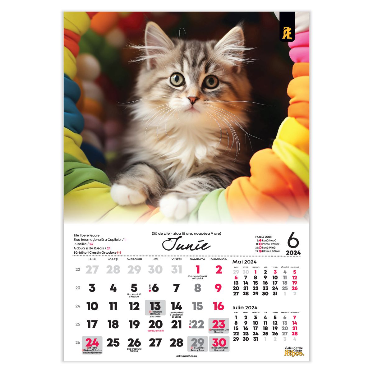 Calendar de perete 2024, Pisici, mari si mici, format B4, 23x33 cm, 13 ...