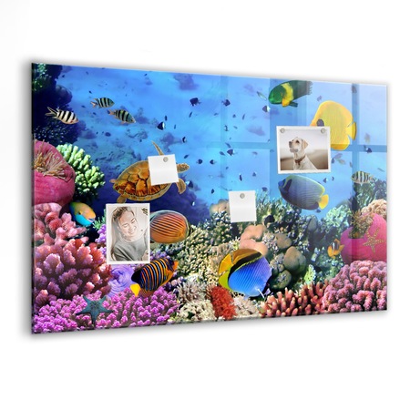 Tabla magnetica, Sticla, Viata Subacvatica, 90 cm x 60 cm, Multicolor ...