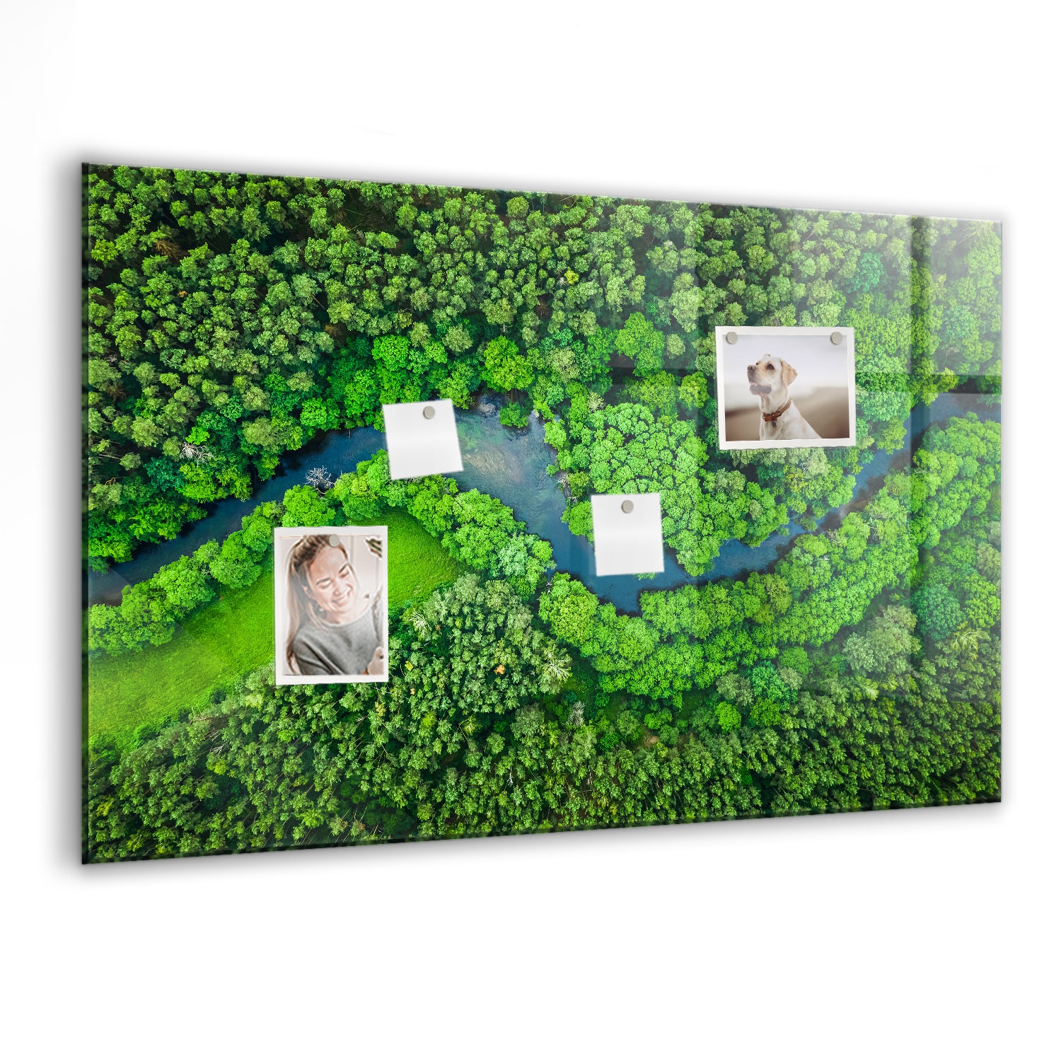 Tabla magnetica, Sticla, Rau In Padure, 90 cm x 60 cm, Verde, 00088543 ...