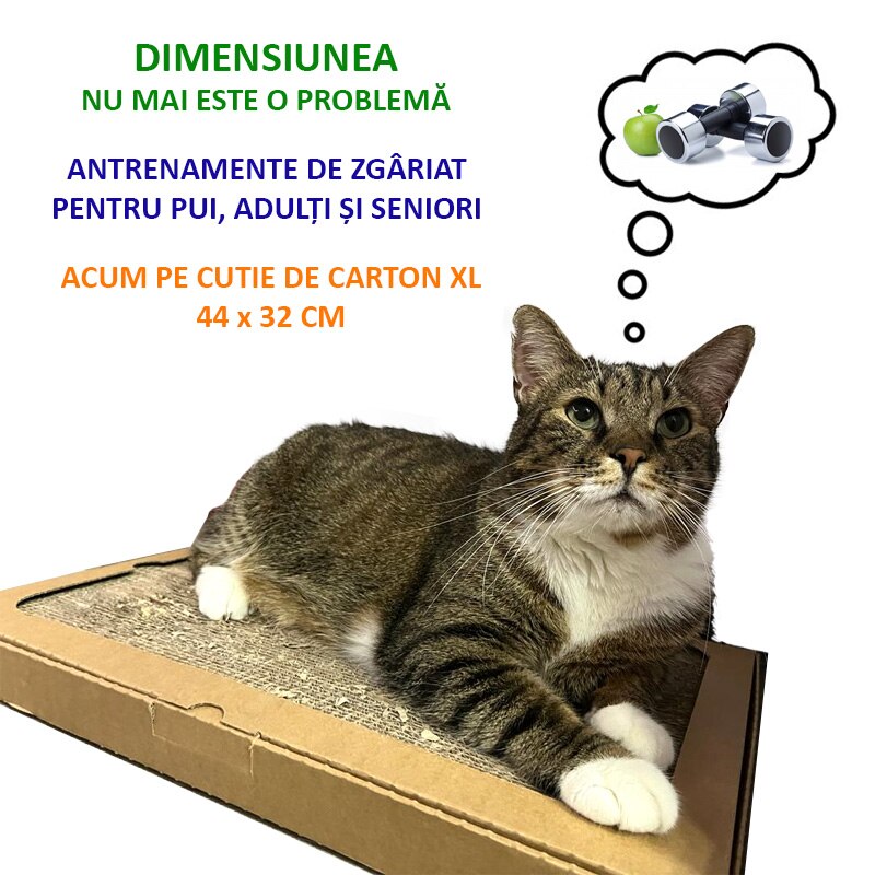 Carton de zgariat pentru pisici, Scratchy Doo, 44x32x4cm, Cutie ...
