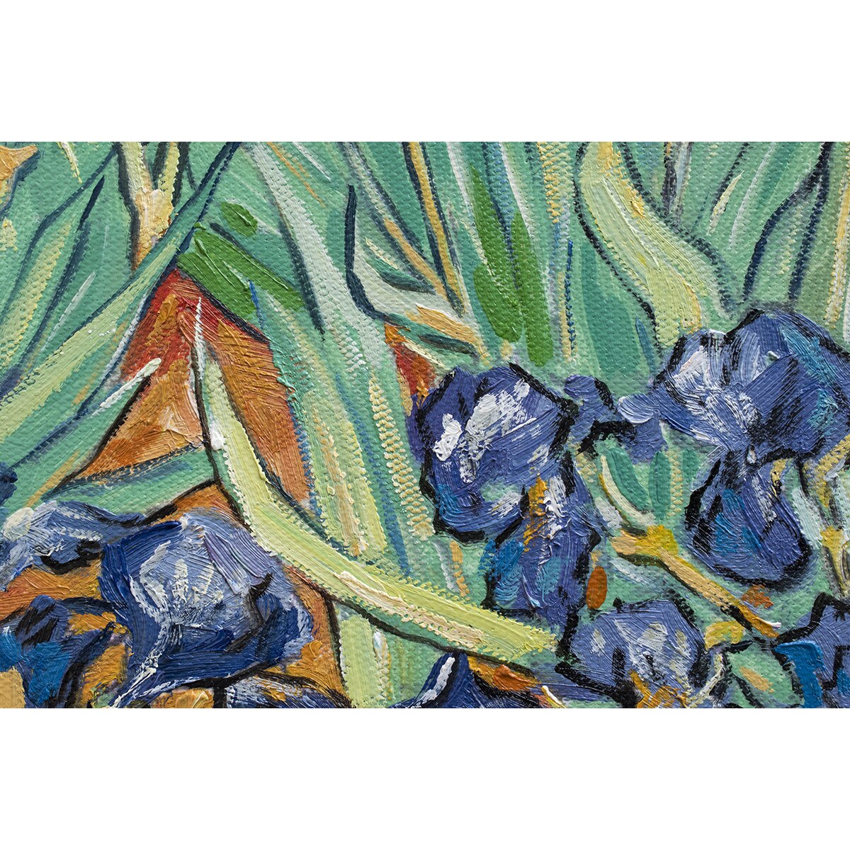 Tablou celebru inramat living, hol, dormitor pictat manual, Irisi la ...