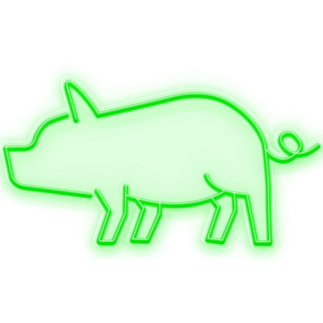Semn Luminos LED Neon Porc, Verde, 120x65x0.8cm - eMAG.ro