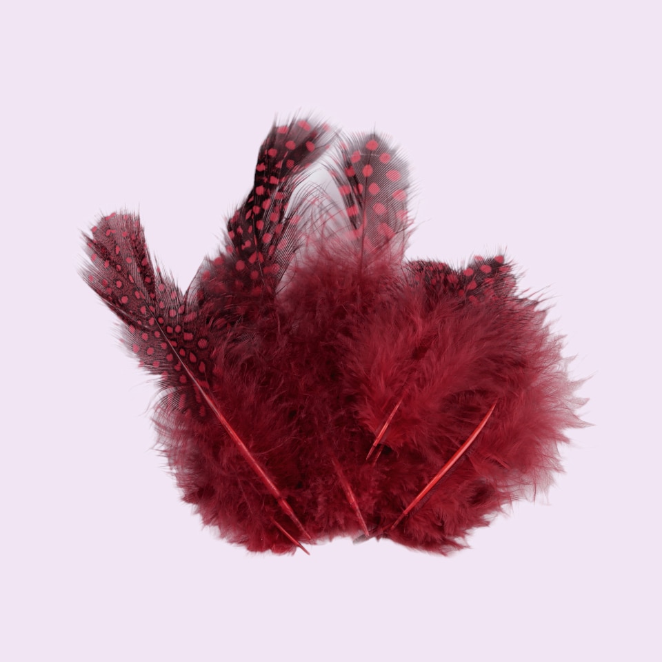 Set 20 pene decorative gaina, lungime 5-12 cm, Bordo - eMAG.ro