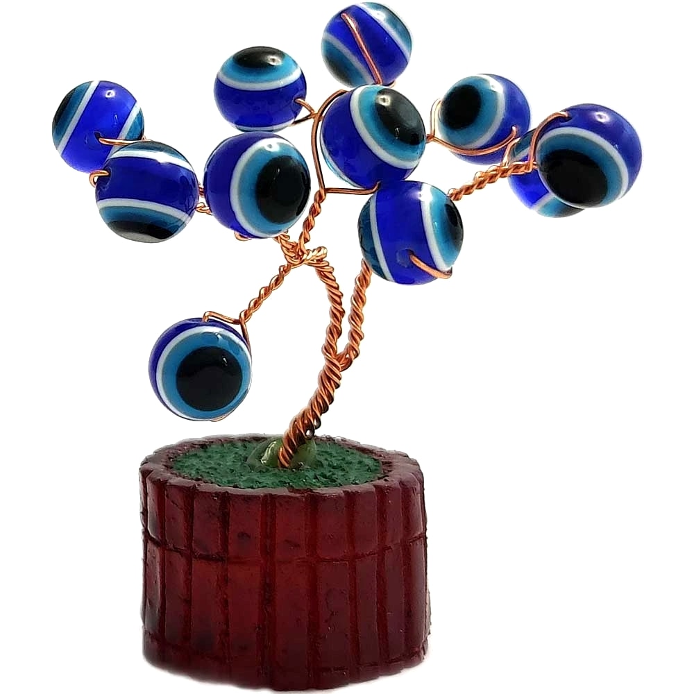 Copacei decorativi cu ochisori magici norocosi, popular numit ochiul ...