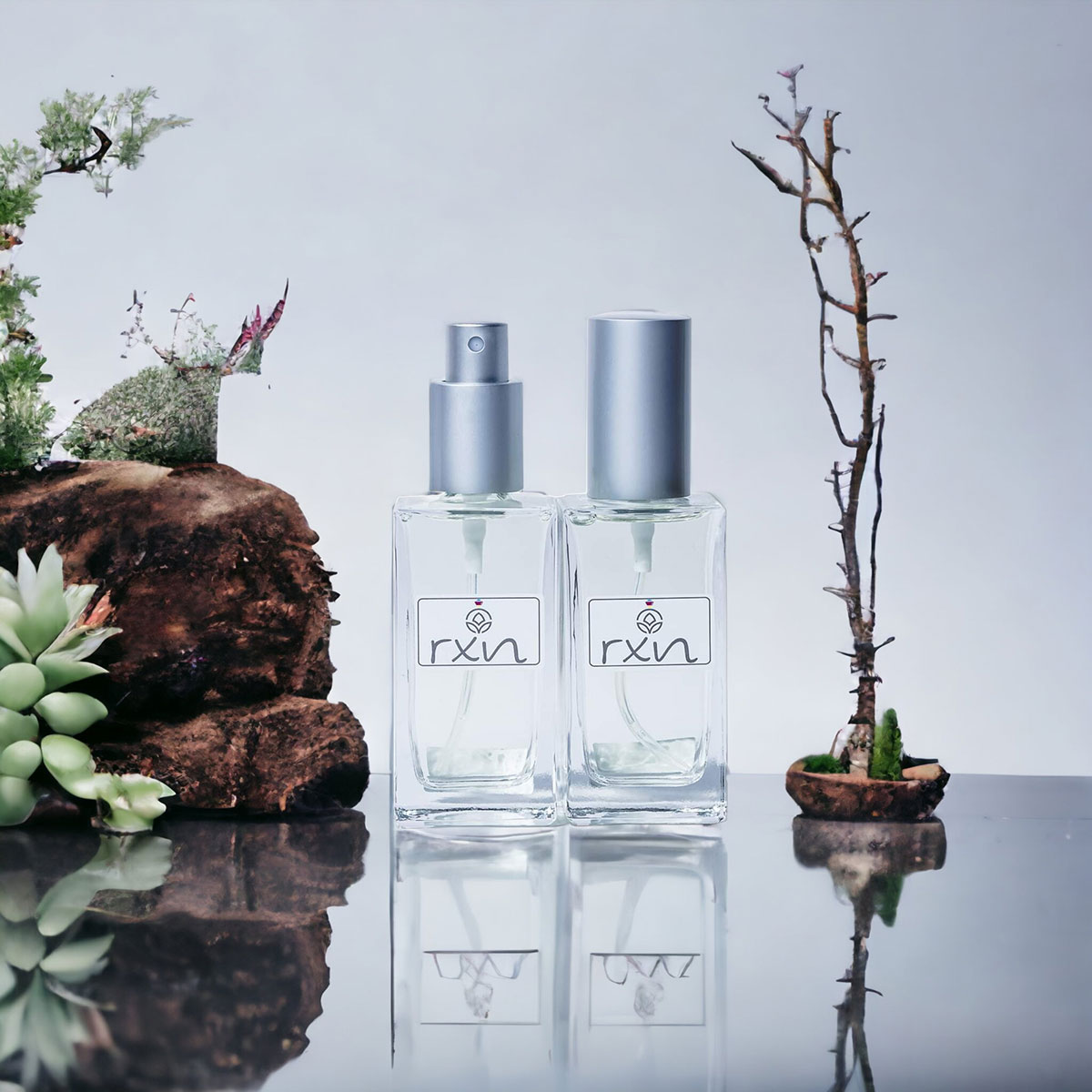 Apa de parfum RXN M256, Parabanea, Lemnos-Acvatic, Barbati, 100 ml - eMAG.ro